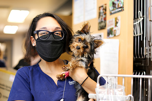 Our Philosophy | Paws & Claws Veterinary Hospital